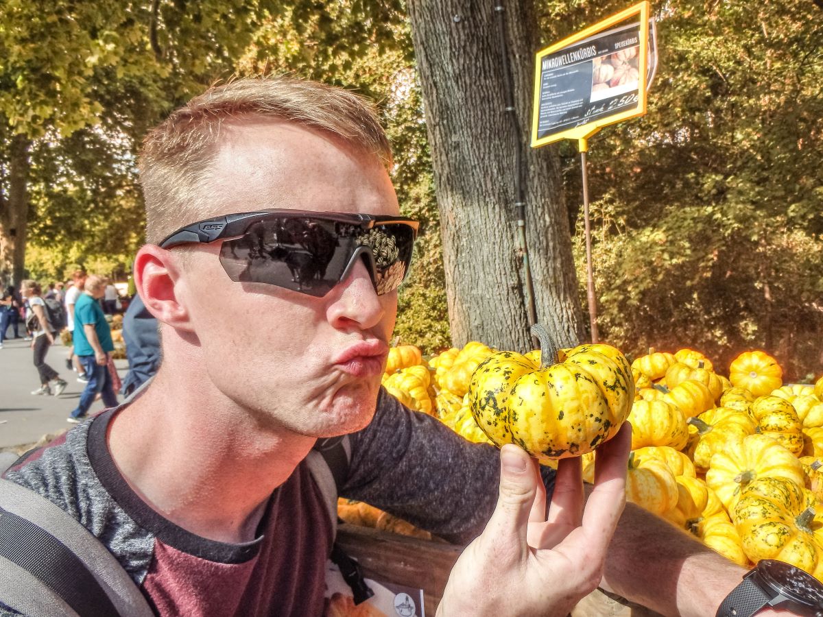 Your Ultimate Guide to Ludwigsburg Pumpkin Festival – The Largest ...