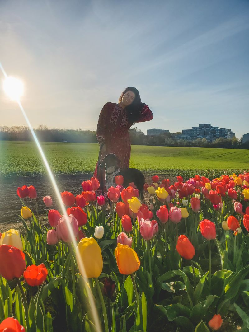 Your Ultimate Guide to Picking Tulips in Germany – Hello It's Jasper